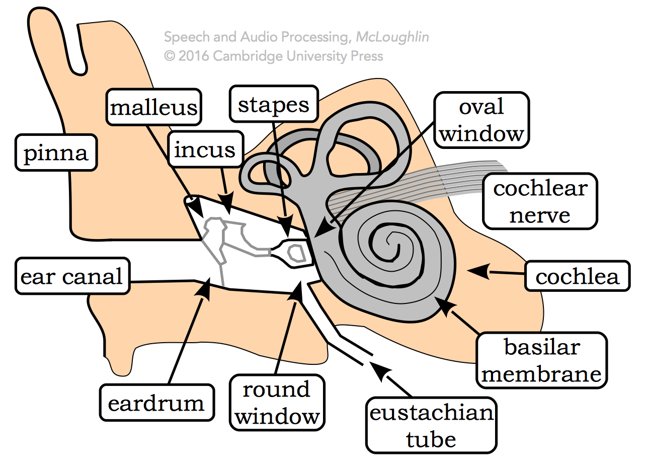 The main hardware components are shown in the figure below: